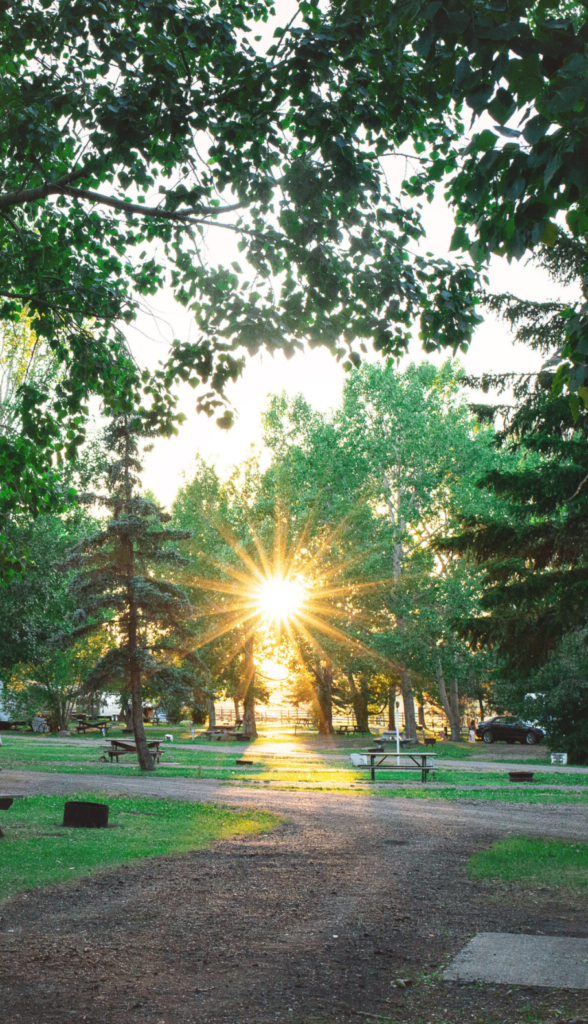 RV Sites – Half Moon Lake Resort